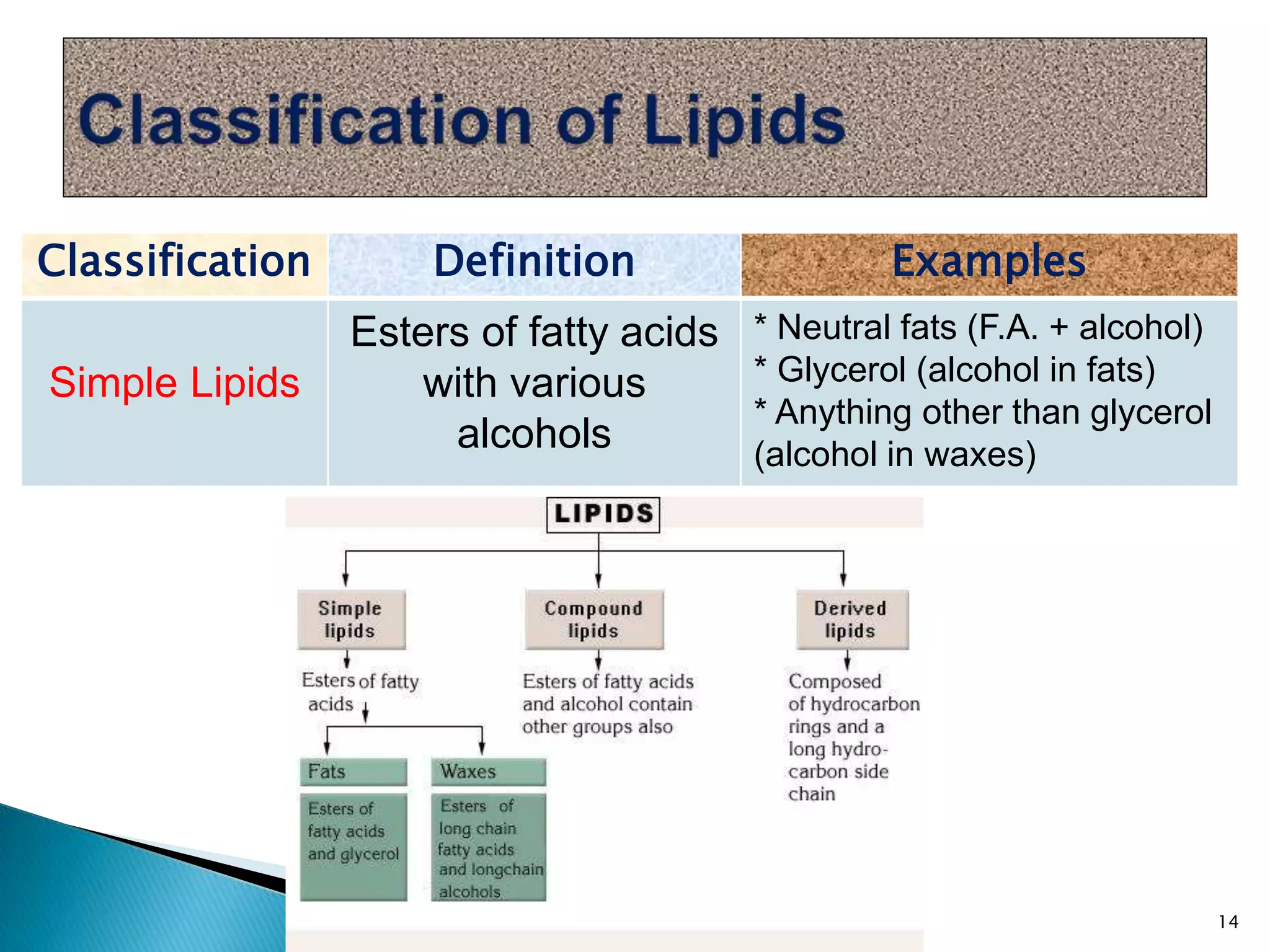 lipid chemistry | PPTX