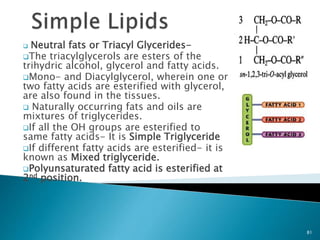 Simple Triglyceride
