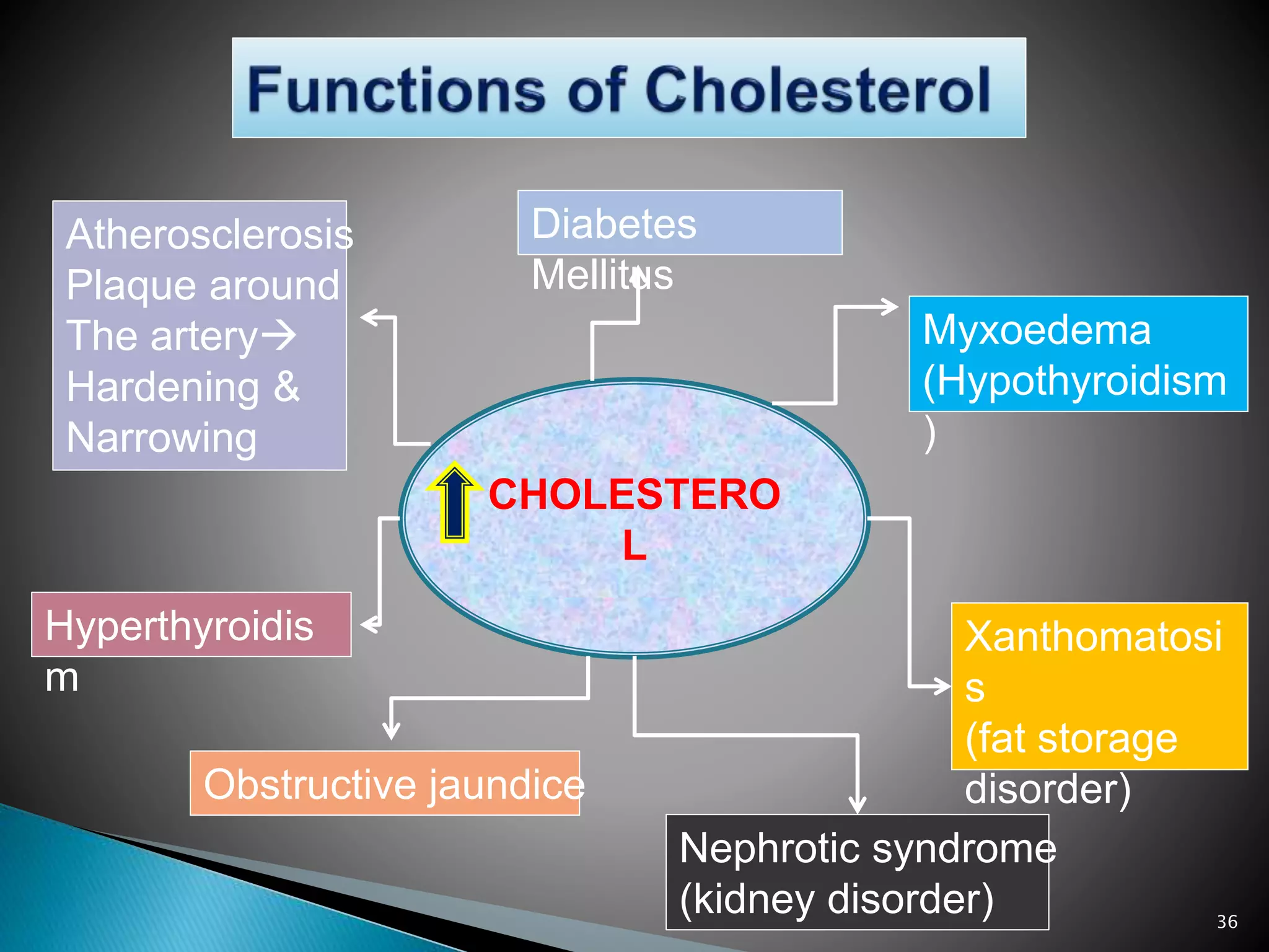 Main lipid chemistry | PPTX