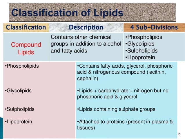 Main lipid chemistry