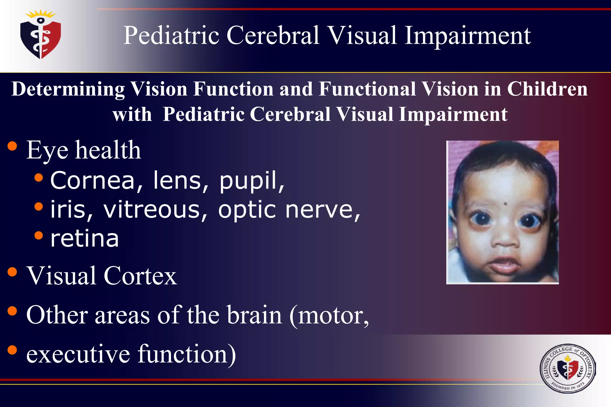 American Conference on Pediatric Cerebral Visual Impairment | PDF