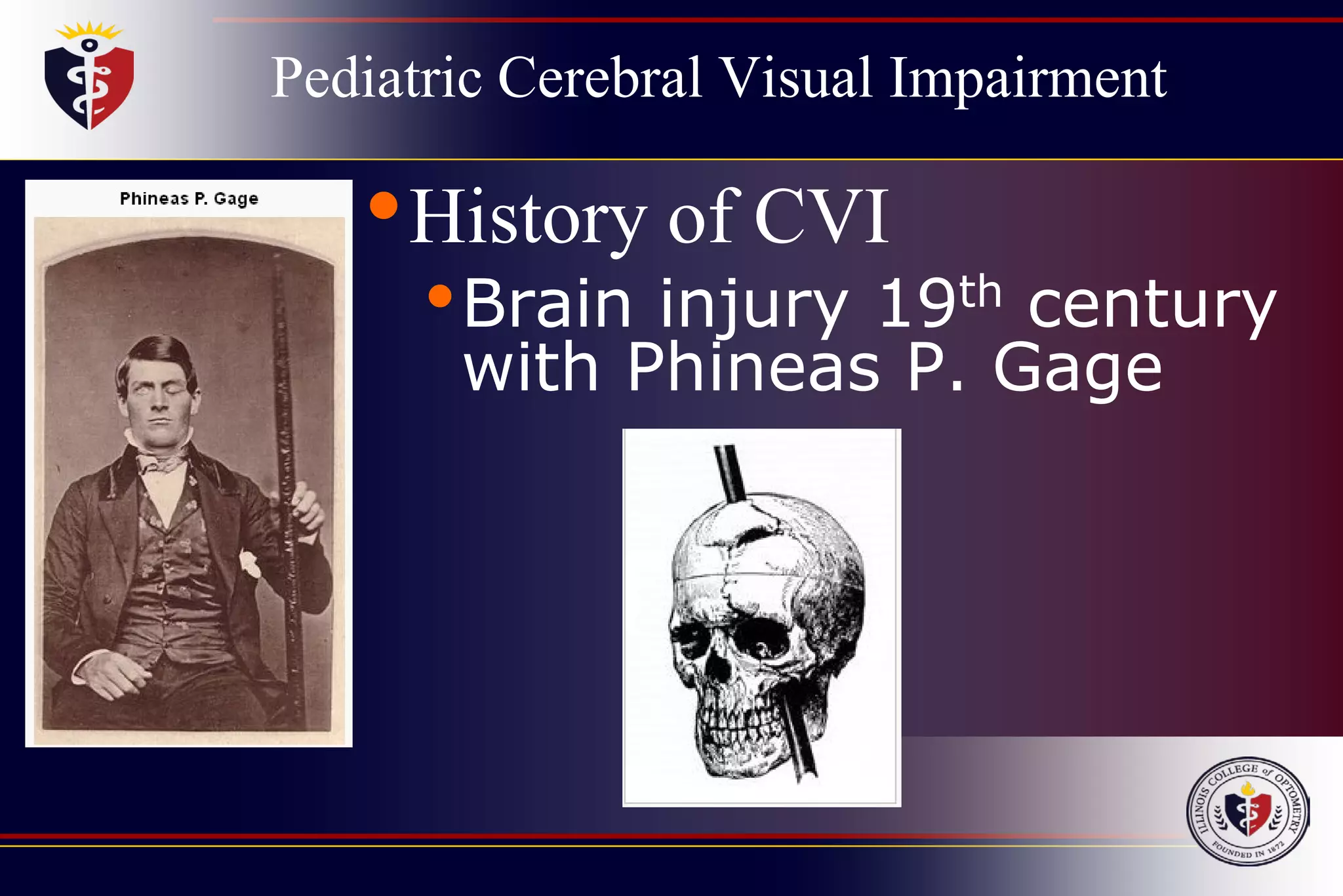American Conference on Pediatric Cerebral Visual Impairment | PDF