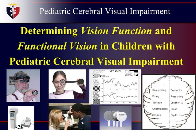 American Conference on Pediatric Cerebral Visual Impairment | PDF | Eye ...