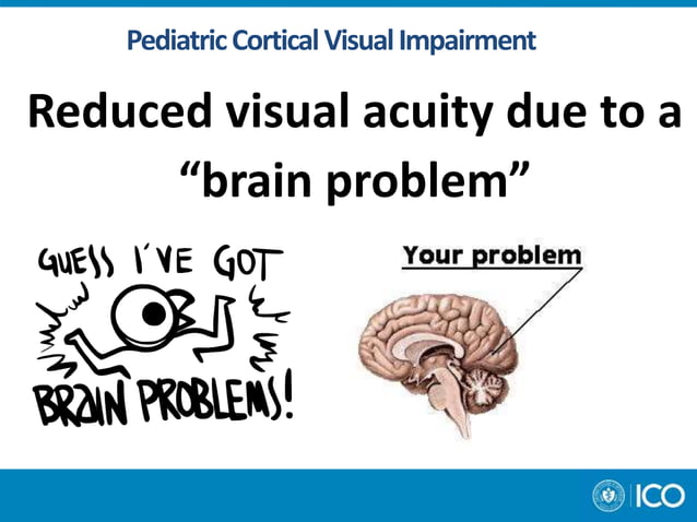 Diagnosis and Therapeutic Intervention of Vision Function and ...