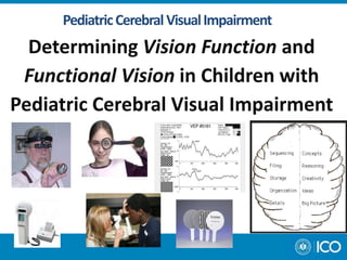 Diagnosis and Therapeutic Intervention of Vision Function and ...