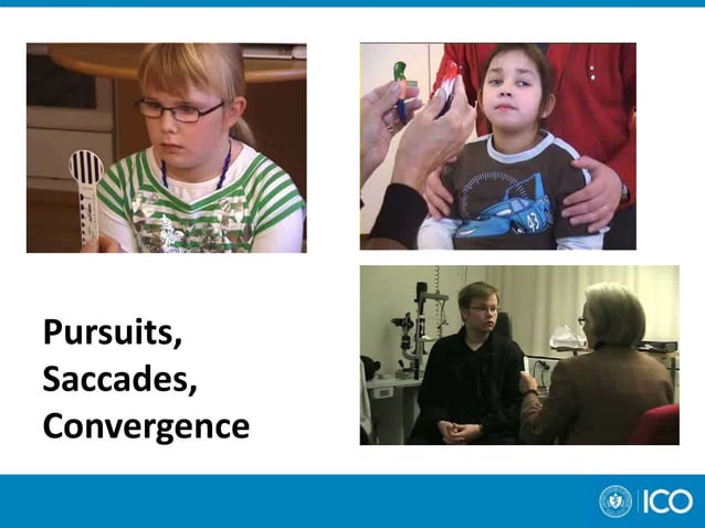 Diagnosis and Therapeutic Intervention of Vision Function and ...