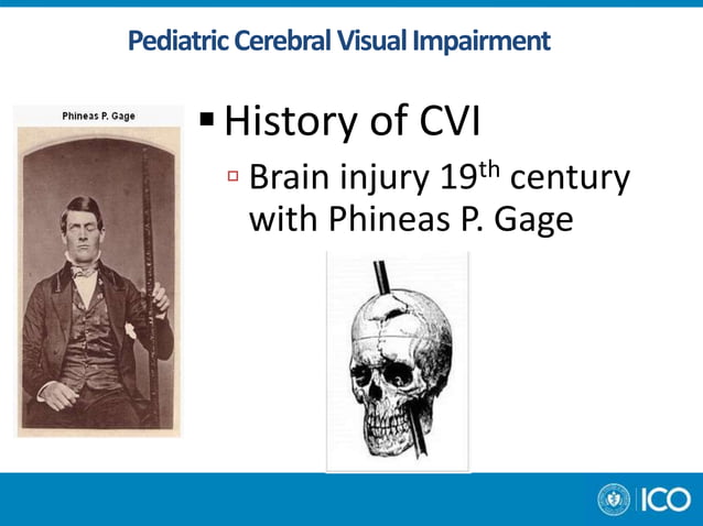 Diagnosis and Therapeutic Intervention of Vision Function and ...
