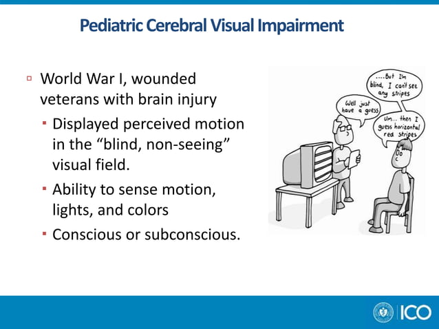 Diagnosis and Therapeutic Intervention of Vision Function and ...