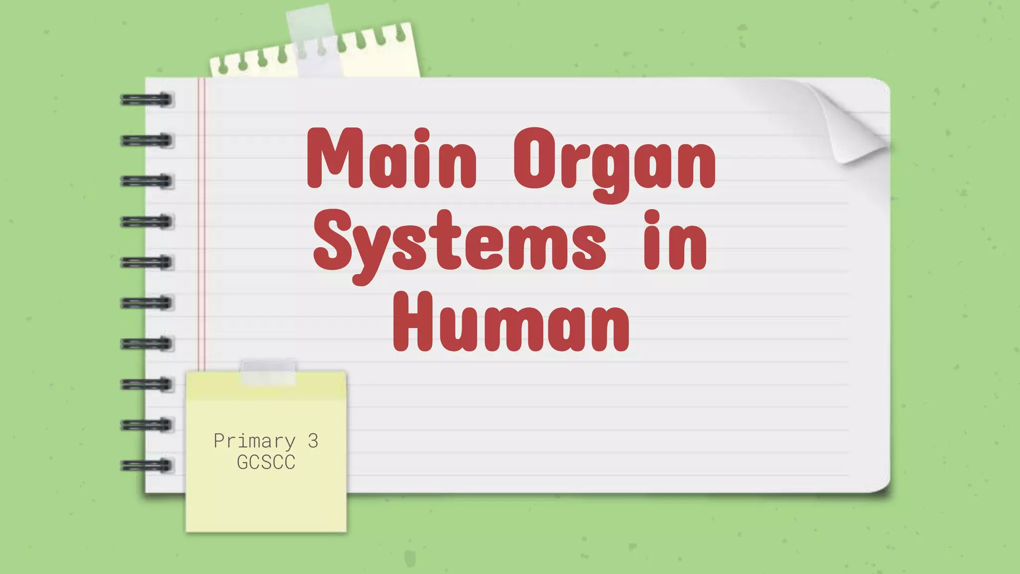 Main Organ Systems in Human P3.pptx