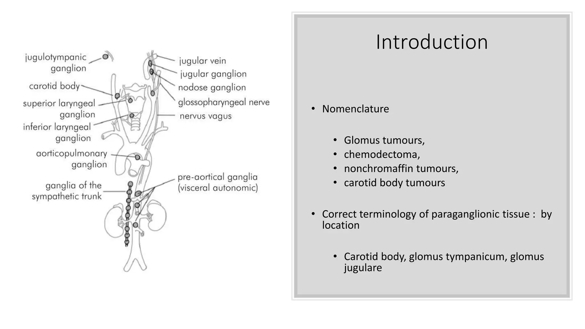 paragangliomas | PPTX