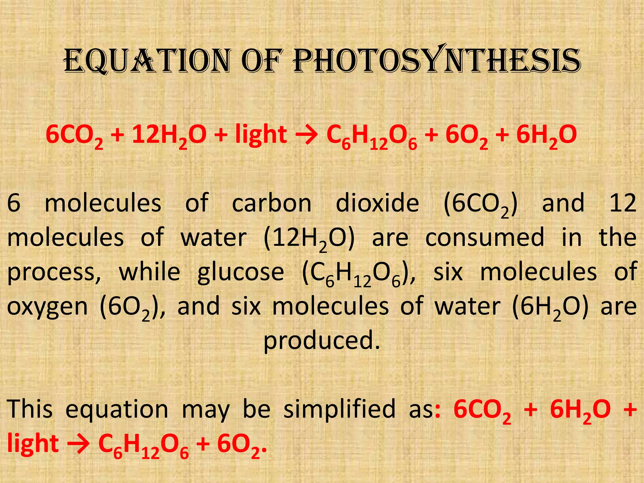 photosynthesis ppt | PPTX