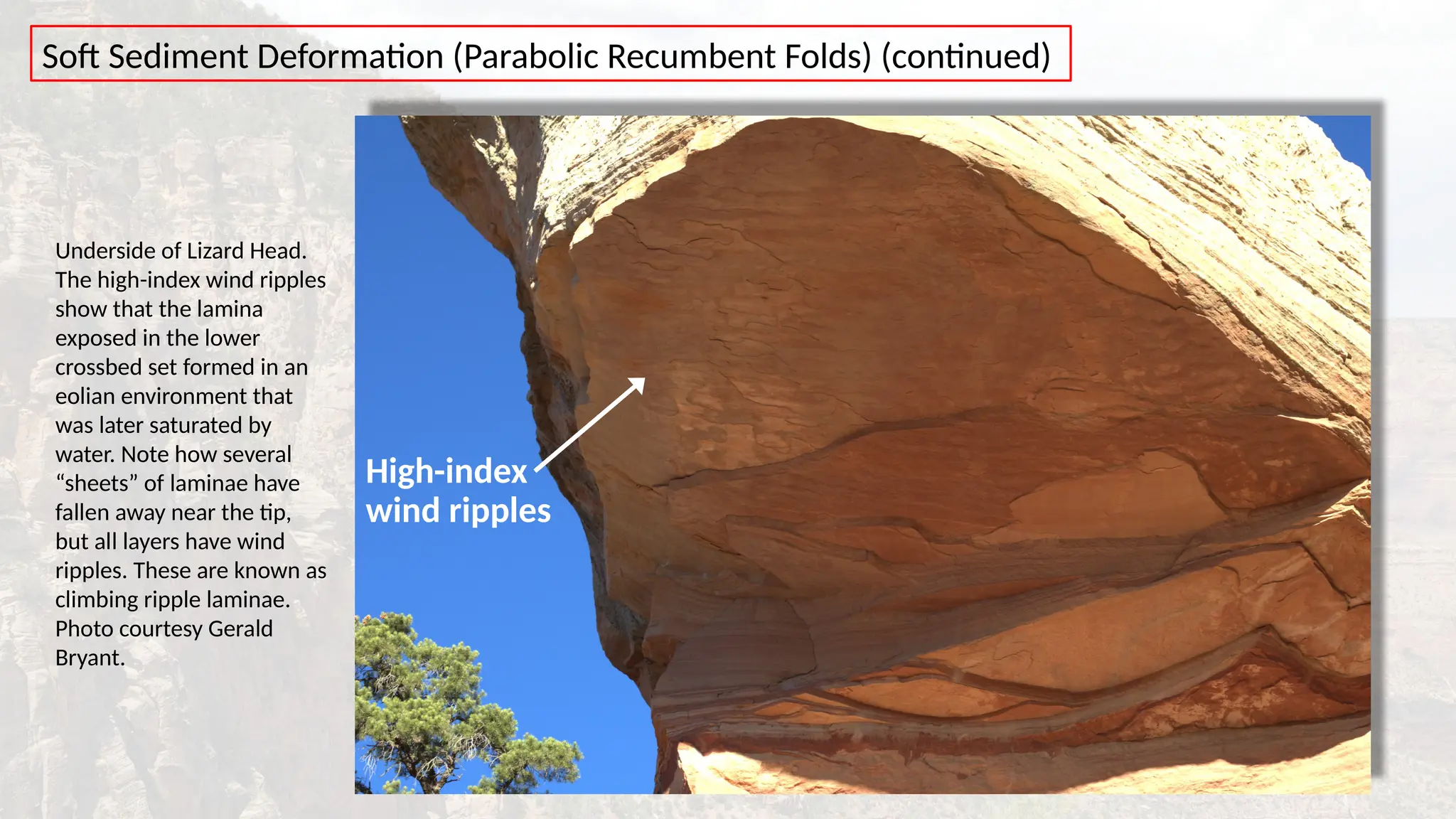 Main points - Flood Geology and Conventional Geology Face Off Over the ...