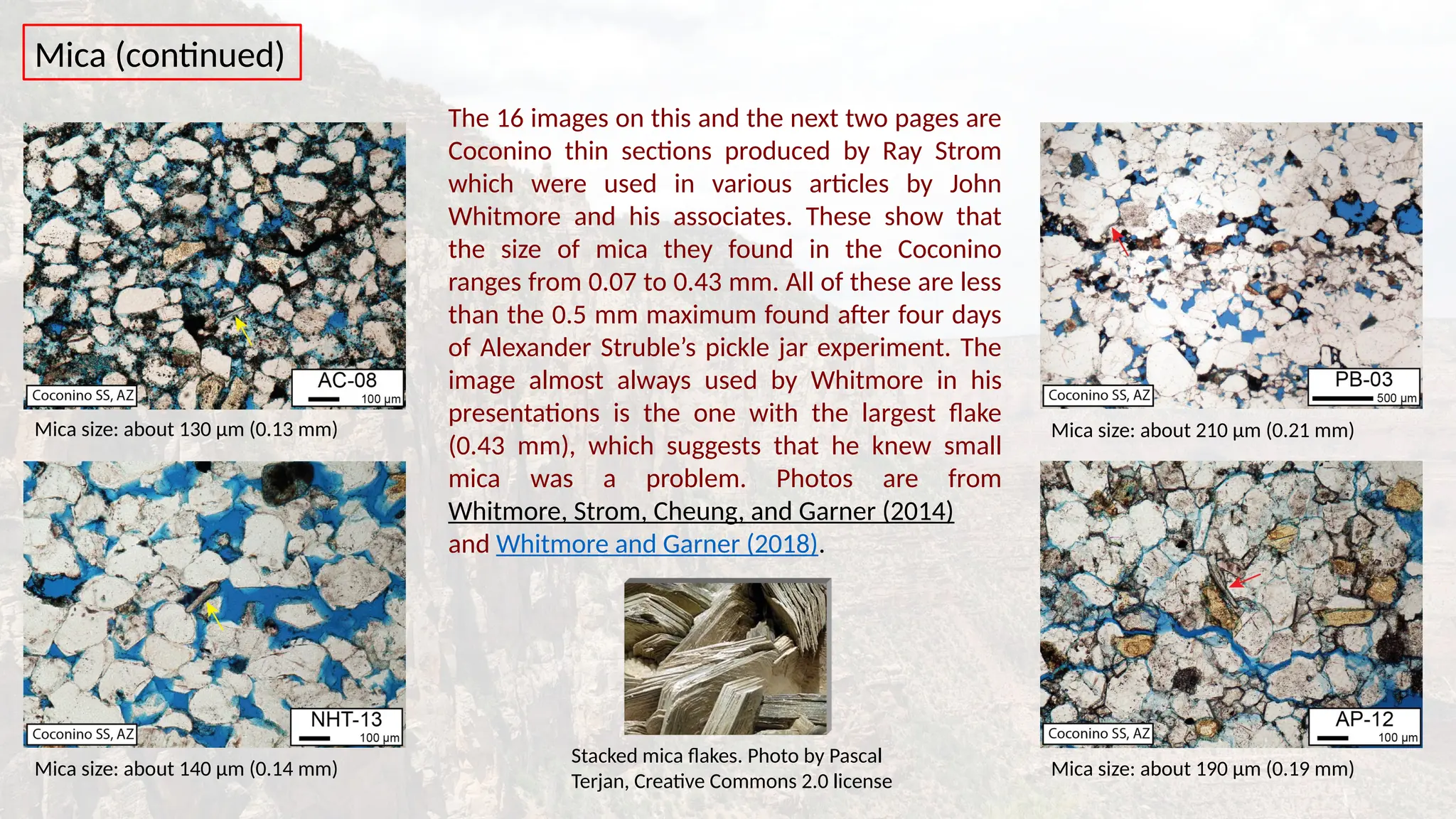 Main points - Flood Geology and Conventional Geology Face Off Over the ...