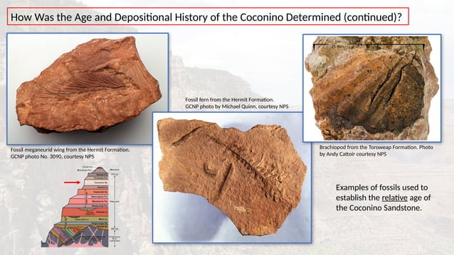 Main points - Flood Geology and Conventional Geology Face Off Over the ...