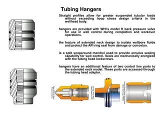 Back Pressure Valves For Tubing Hanger