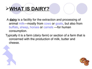 Dairy | PPT