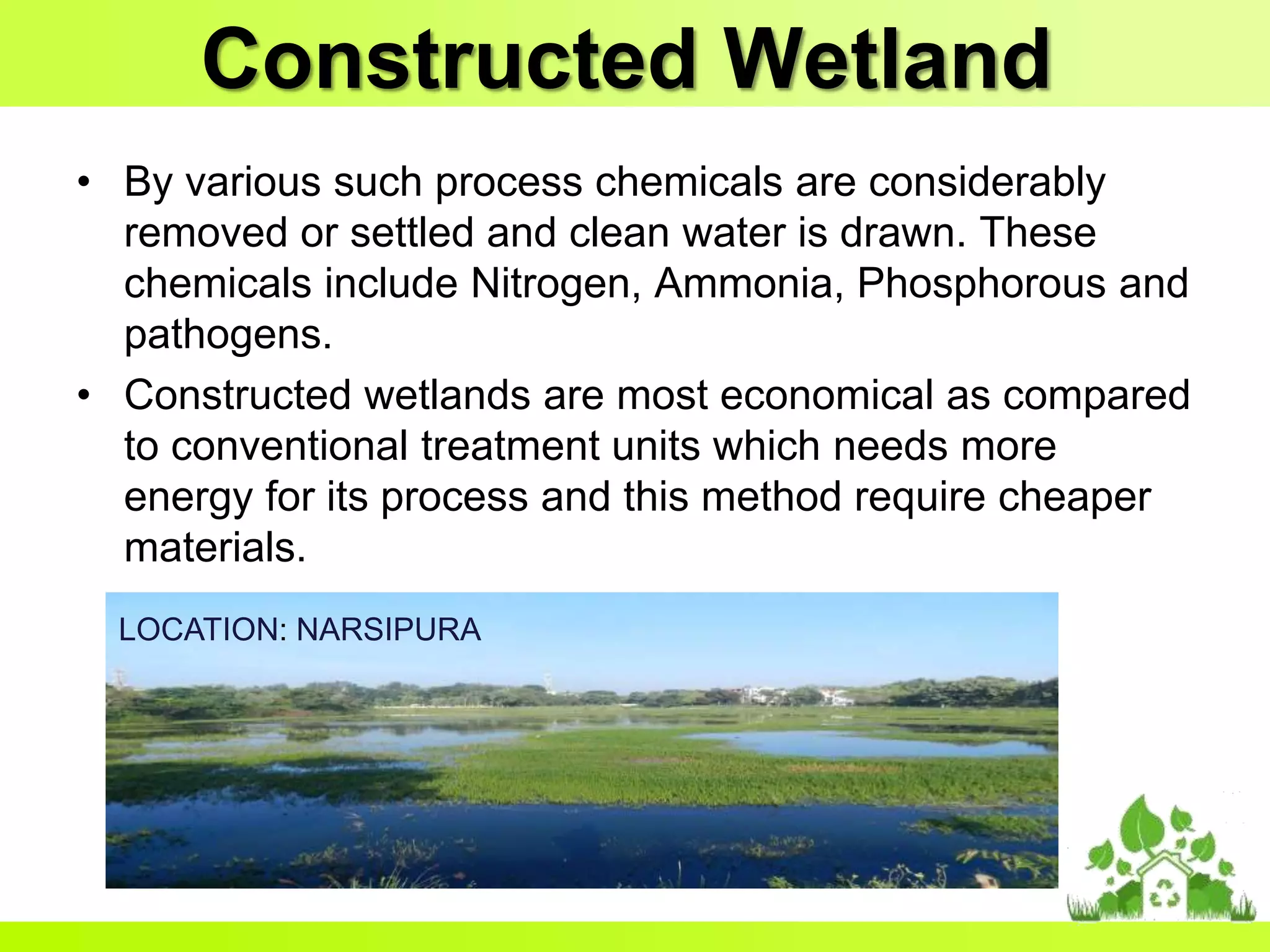 CONSTRUCTED WETLAND PPT | PPTX