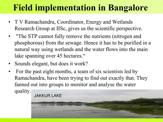 CONSTRUCTED WETLAND PPT | PPTX