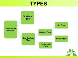Types Of Constructed Wetlands