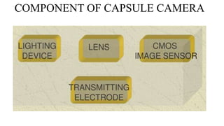 pill camera based on endoscopy and its procedure | PPT