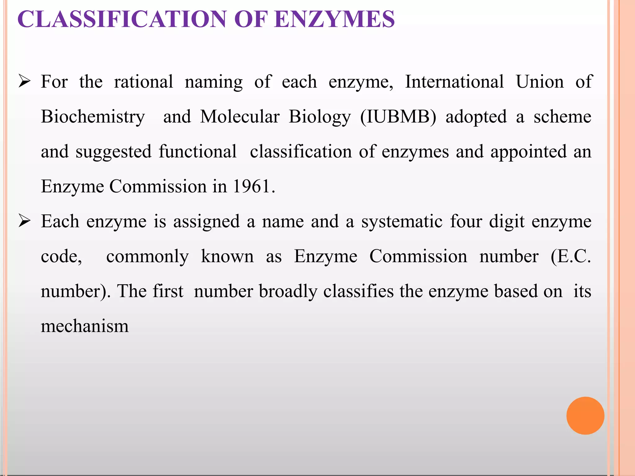 MAIN PPT- ENZYMES.pptx