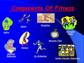 Physical Fitness components | PPT
