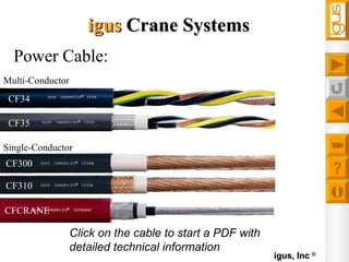 igus Cranes | PPT