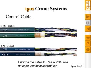 igus Cranes | PPT