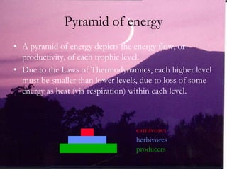 ENERGY FLOW IN ECOSYSTEM | PPTX