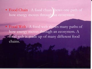 ENERGY FLOW IN ECOSYSTEM | PPTX