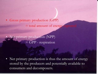 ENERGY FLOW IN ECOSYSTEM | PPTX