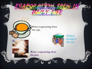 Evaporation | PPTX