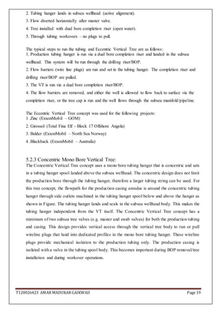 Report on horizontal vertical christmas tree | DOCX
