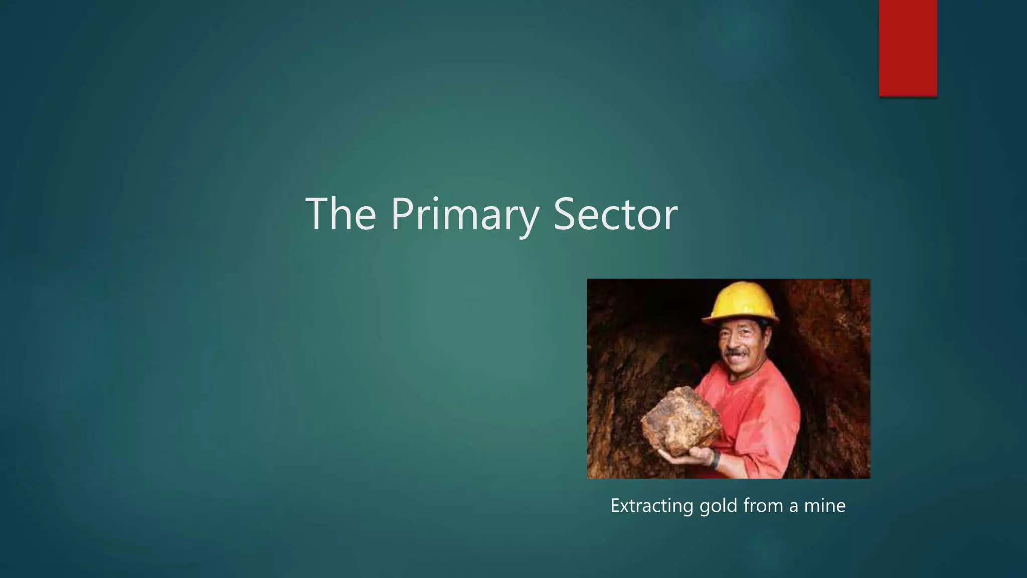 Main sectors of an economy | PPTX