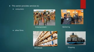 Main sectors of an economy | PPTX