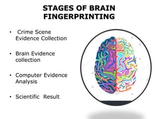 Brain fingerprinting technology seminar presentation | PPTX