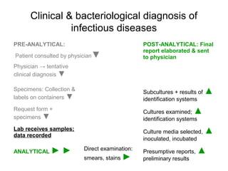 Main steps in bacteriological diagnosis | PPT