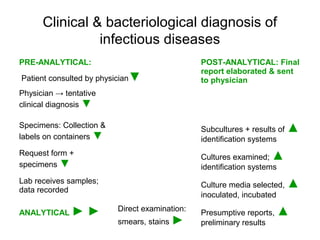 Main steps in bacteriological diagnosis | PPT