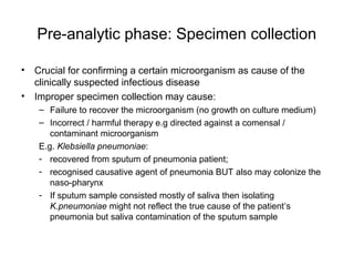 Main steps in bacteriological diagnosis | PPT