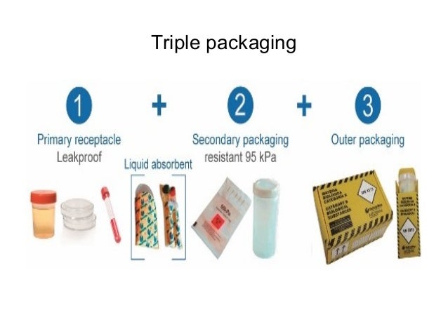Main steps in bacteriological diagnosis