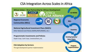 Mainstreaming csa cop21 04 dec2015 final | PPT