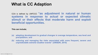 Mainstreaming DRR & CCA in private sector | PPTX