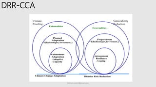Mainstreaming DRR & CCA in private sector | PPTX