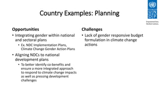 Mainstreaming Gender Within the NDC Process | PPT