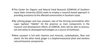 Mainstreaming New Cocoyam (Xanthosoma sagittifolium L.pptx