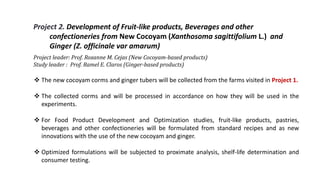Mainstreaming New Cocoyam (Xanthosoma sagittifolium L.pptx