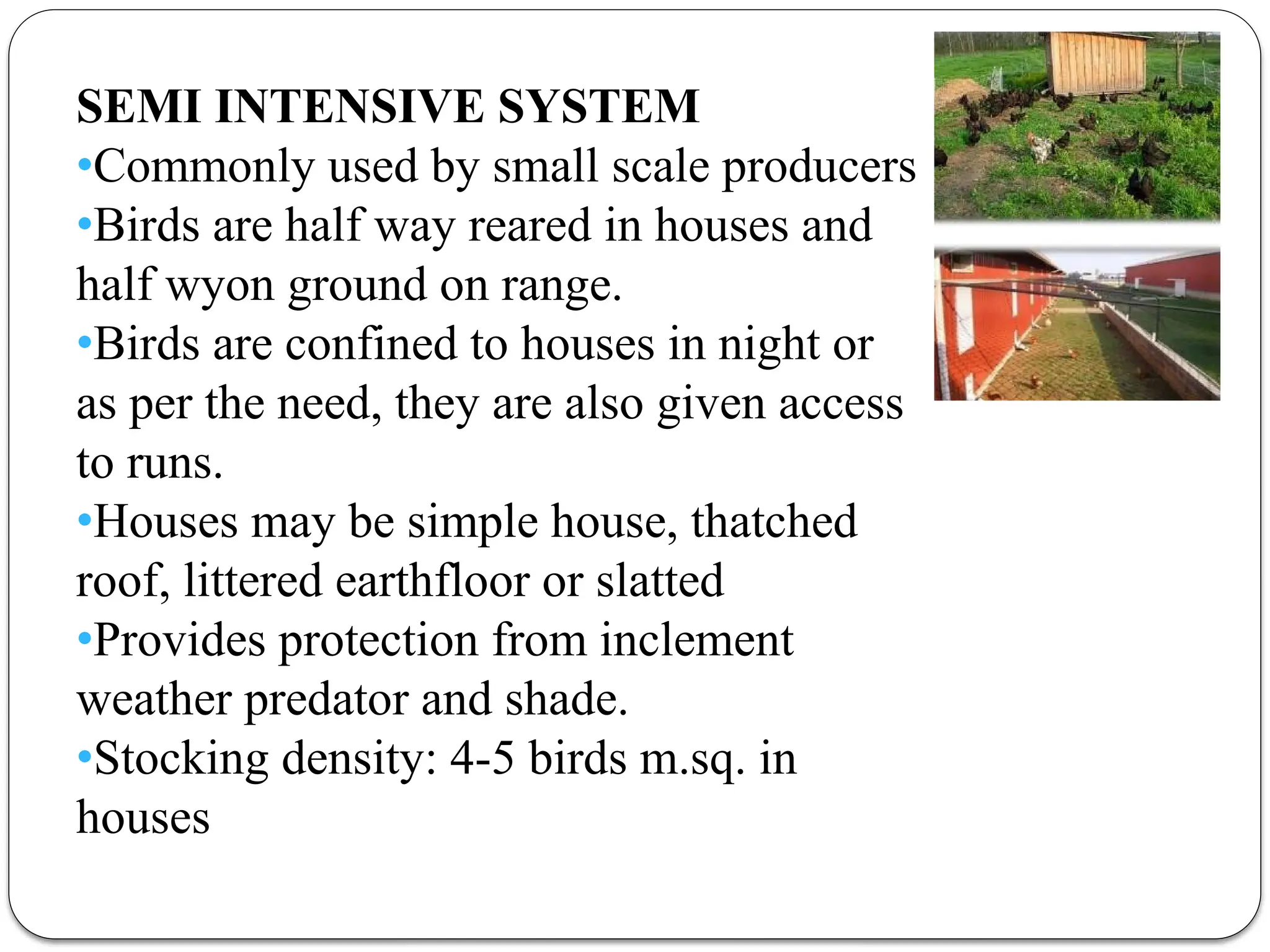 Maintain Poultry House: rules and needed | PPTX