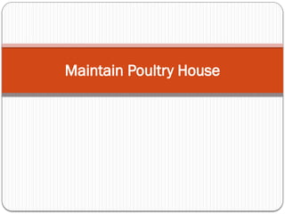 Maintain Poultry House: rules and needed | PPTX