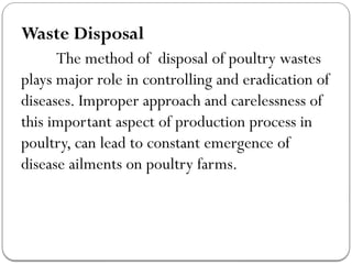 Maintain Poultry House: rules and needed | PPTX