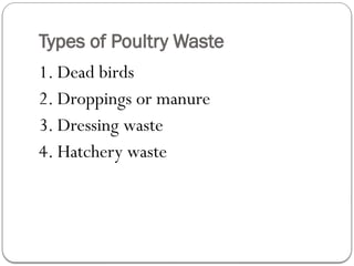Maintain Poultry House: rules and needed | PPTX
